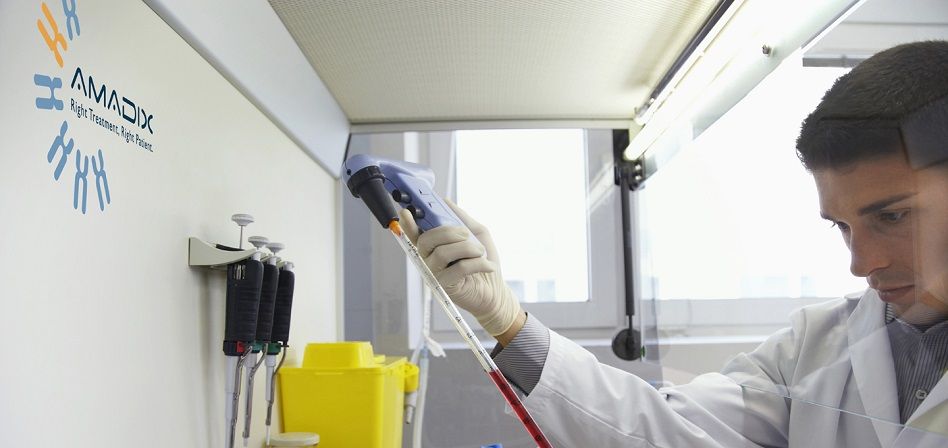 Amadix despega y capta más de 1,9 millones de euros | PlantaDoce